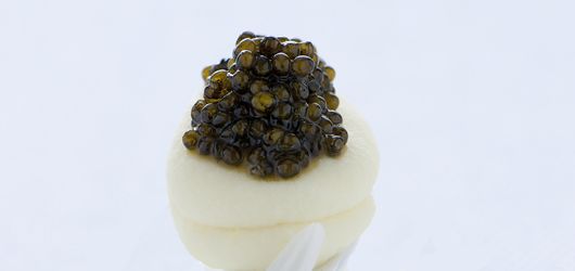 Mashed Potato, Celeriac, and Caviar - W.G. White traders of the finest ...